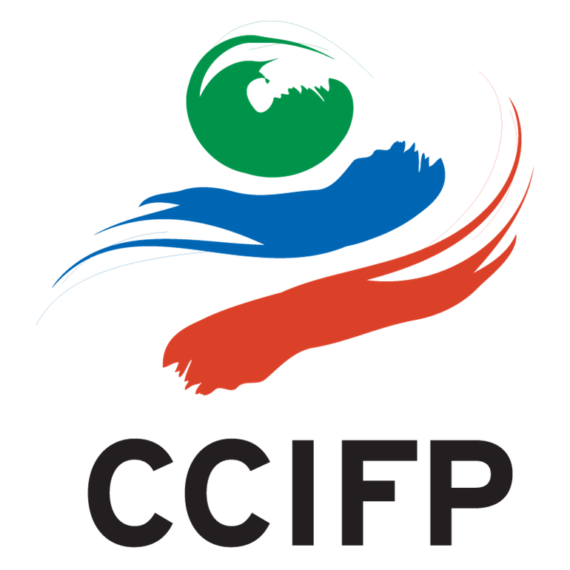 CCIFP